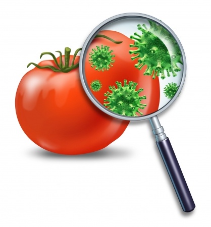 Scanning your food to check it is safe